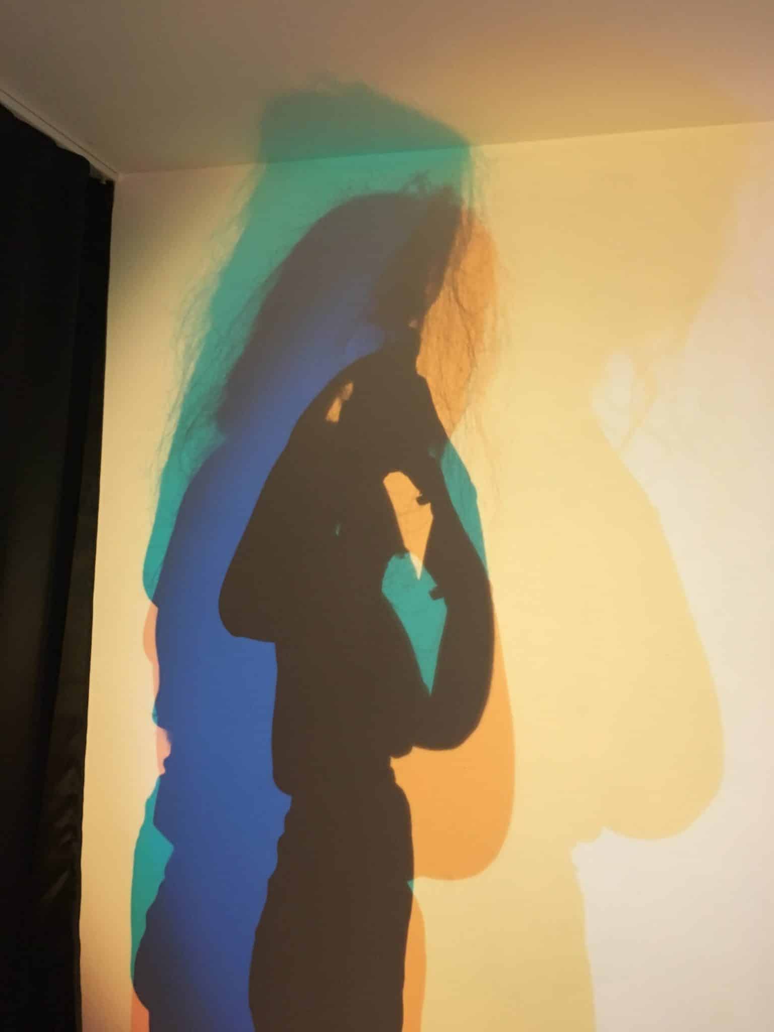 The Shadow Museum in St. Petersburg